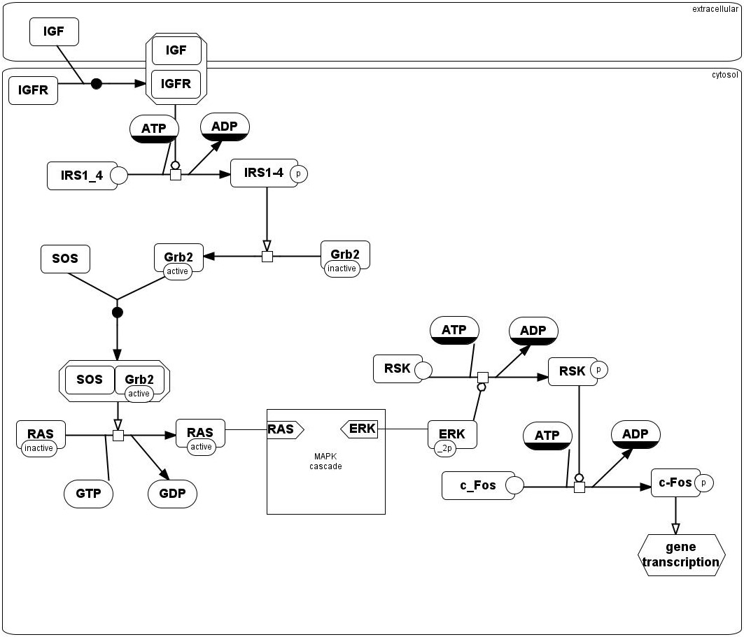 Элементы SBGN нотации в BioUML — BioUML documentation